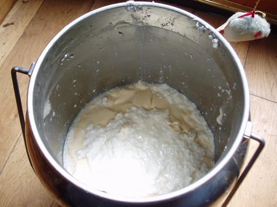 The Fermentation Prelude: How to Extract Whey from Raw Milk | Of The Hands